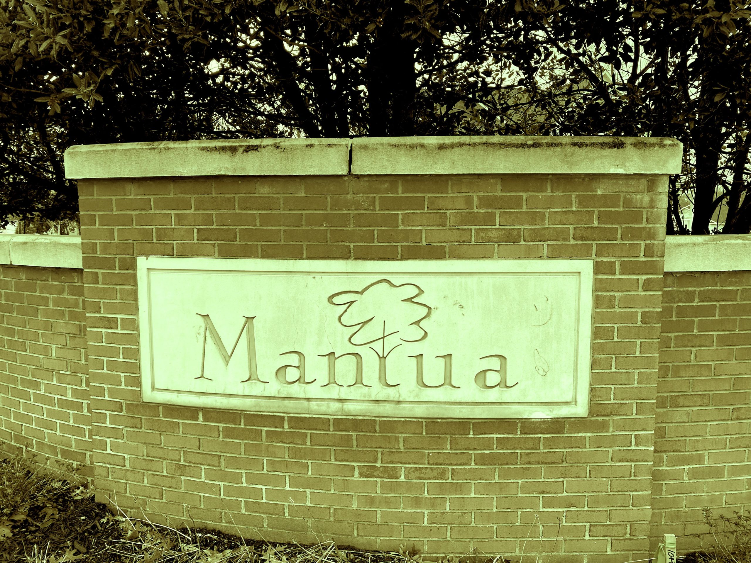 Mantua Homes For Sale - Fairfax VA - Community Info